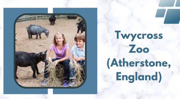 Best Zoo in UK - Top 14 Exciting Visit – South West Mag