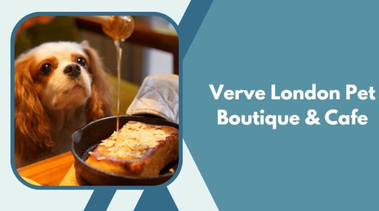 Best Dog Cafe in London - Top 10 Spots For Pet Lovers– South West Mag