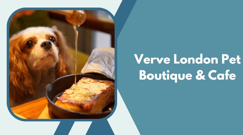 Best Dog Cafe in London - Top 10 Spots For Pet Lovers– South West Mag