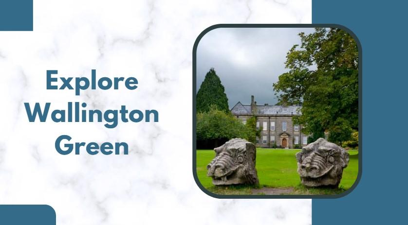 Top 10 Best Things to Do in Wallington – South West Mag