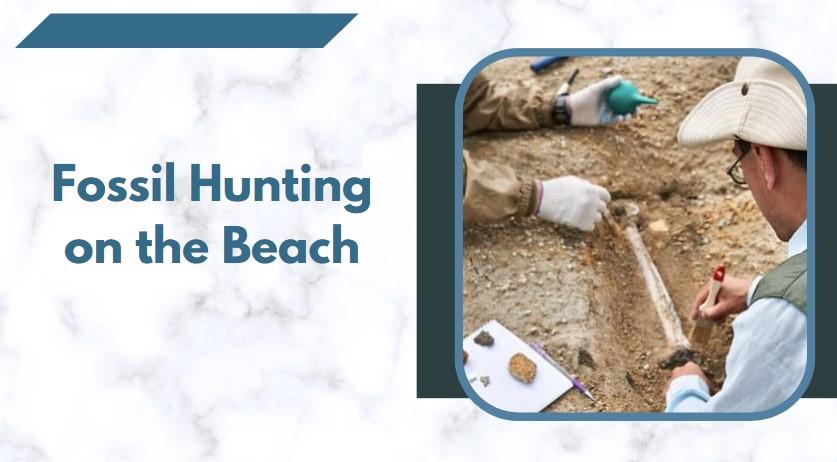 Best Things to Do in Whitby - 10 Attractions – South West Mag