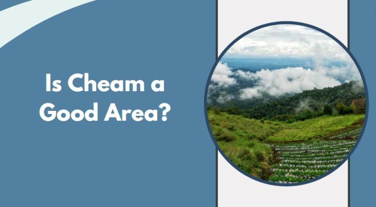 Top 14 Best Things to Do in Cheam - Perfect Destination – South West Mag