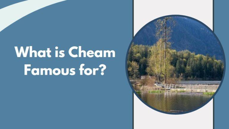 Top 14 Best Things to Do in Cheam - Perfect Destination – South West Mag