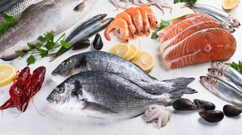 Top 10 Best Fish and Chips Brixham – South West Mag