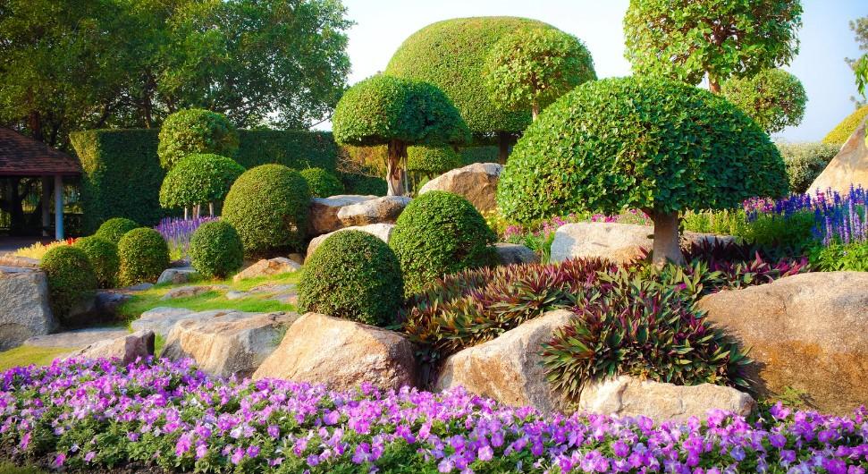 How Do Shrubs, Trees, And Bushes Differ? – South West Mag