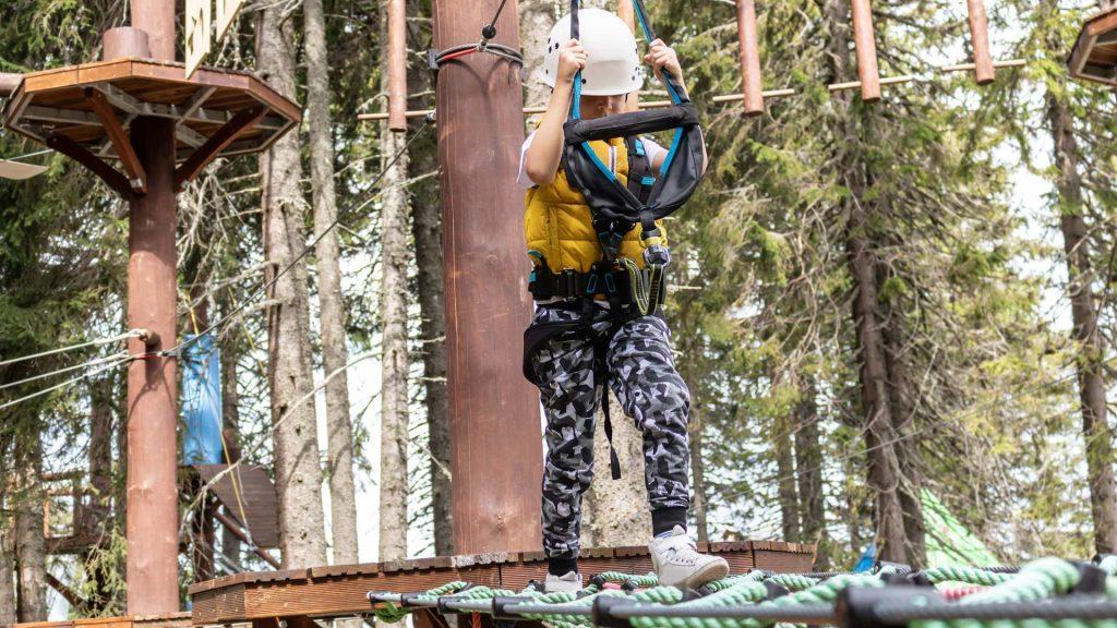 Go Ape Sherwood Pines: Adventure, Prices, and Things to Know! – South ...