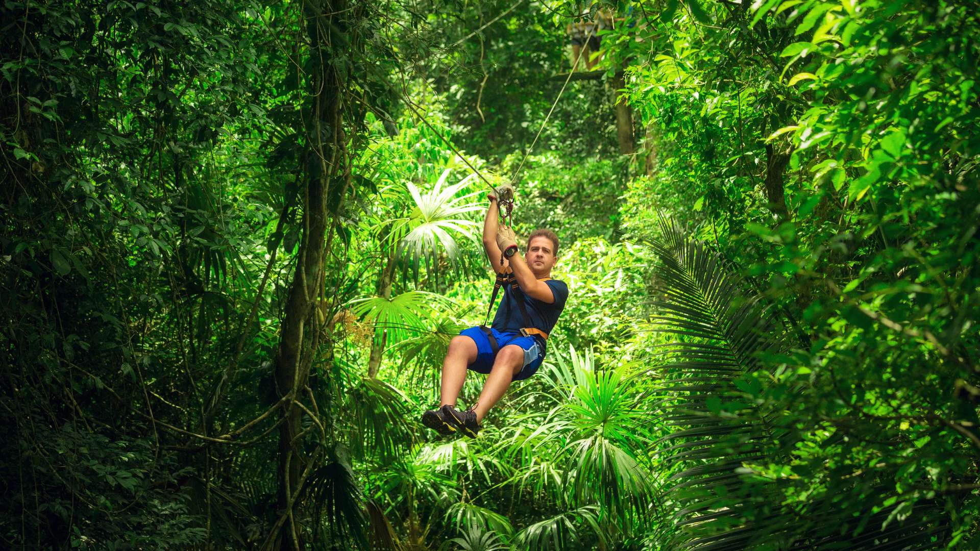 Go Ape Alexandra Palace: Tickets, Activities, and Visitor Guide ...