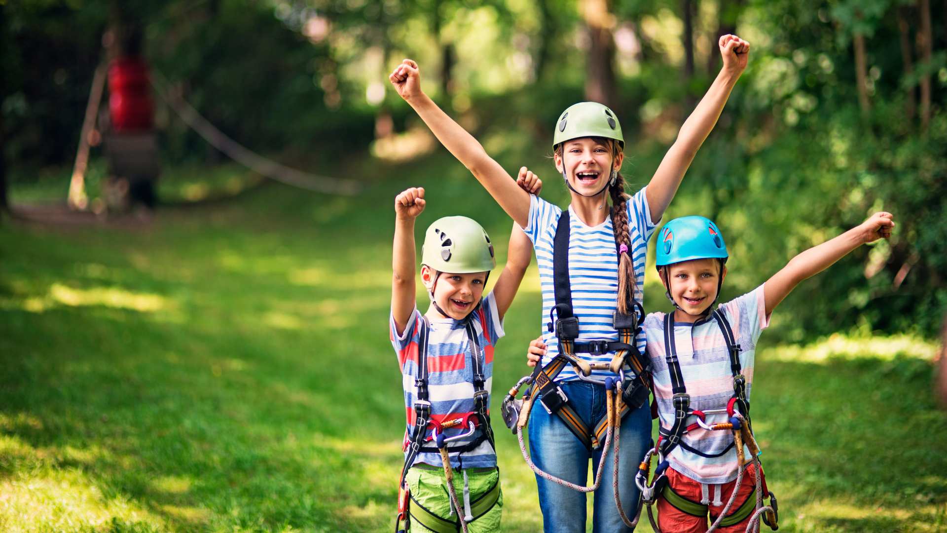 Go Ape Sherwood Pines: Adventure, Prices, and Things to Know! – South ...