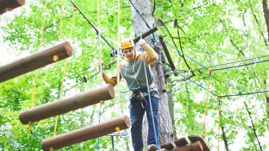 Go Ape: The Ultimate Outdoor Adventures in the UK – South West Mag