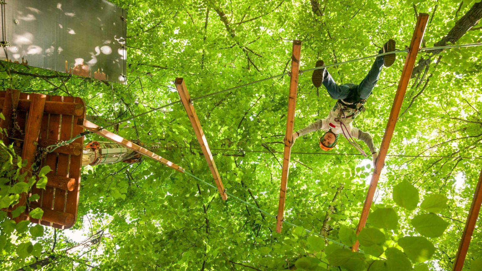 Go Ape Battersea Park: Prices, Activities & Booking Guide! – South West Mag