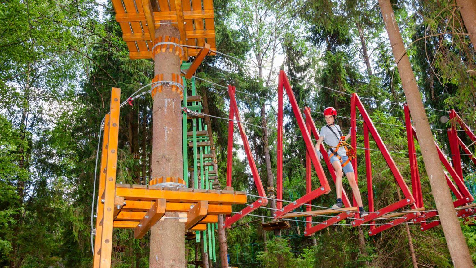 Go Ape Coventry: Activities, Prices, and Treetop Adventures