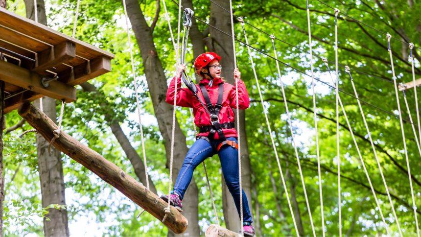 Go Ape Black Park: Activity, Prices and Booking Details! – South West Mag