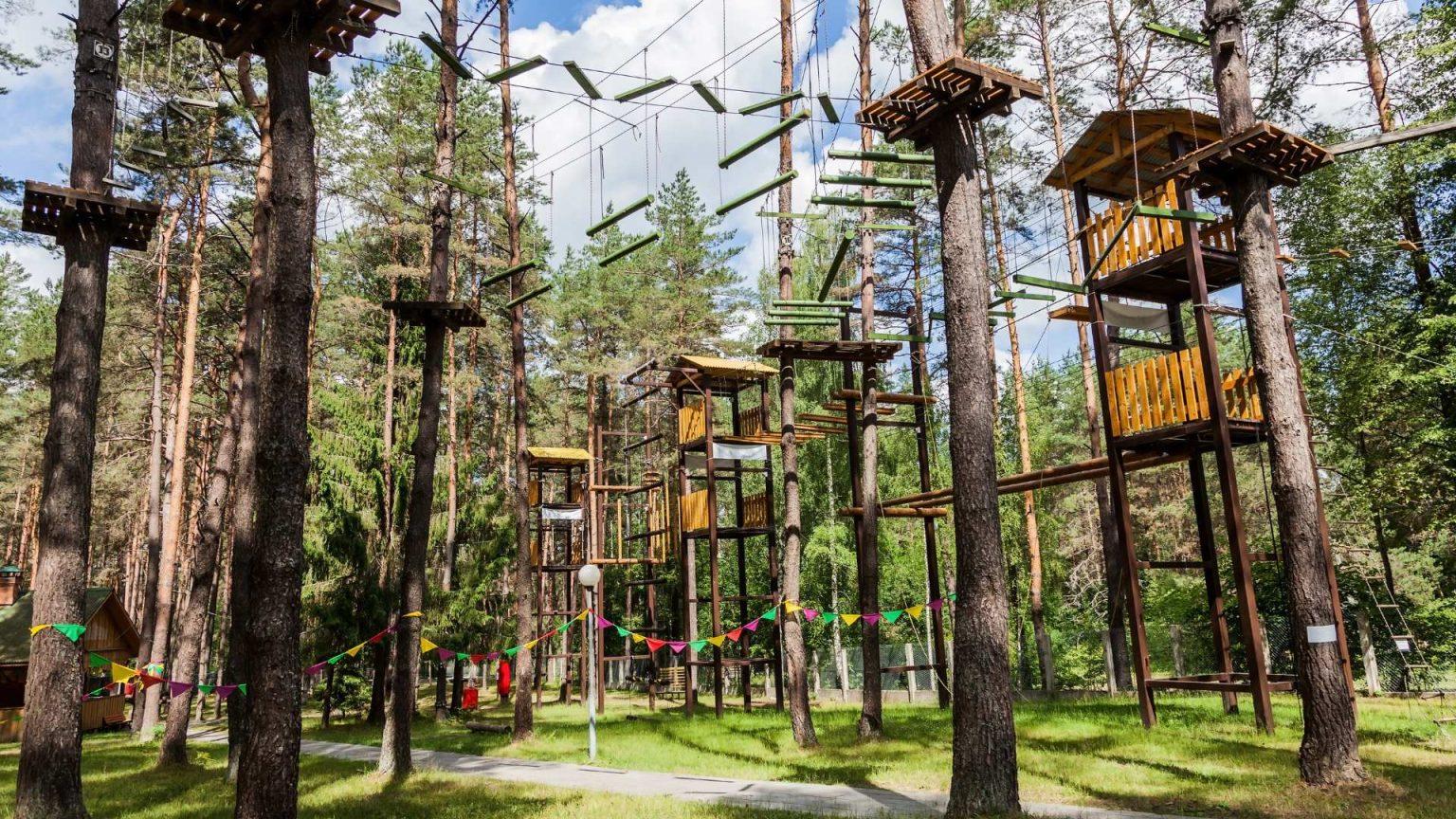 Go Ape Sherwood Pines: Adventure, Prices, and Things to Know! – South West Mag