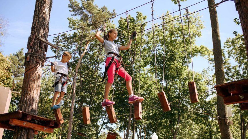 Go Ape Thetford: Prices, Booking, and Activities Explained! – South ...