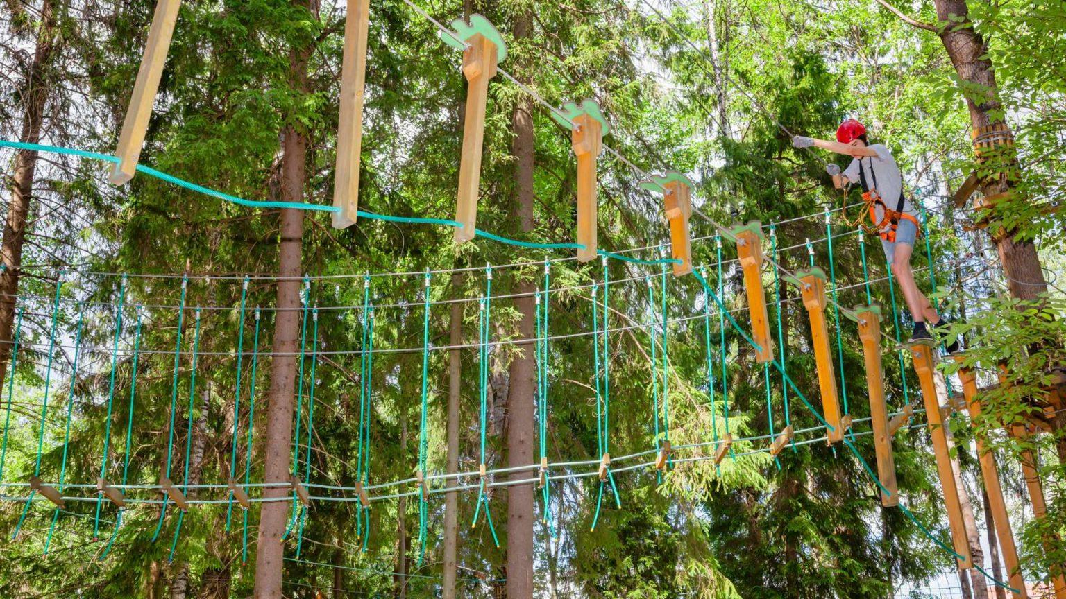 Go Ape Tilgate Park | Ultimate Adventure Guide! – South West Mag
