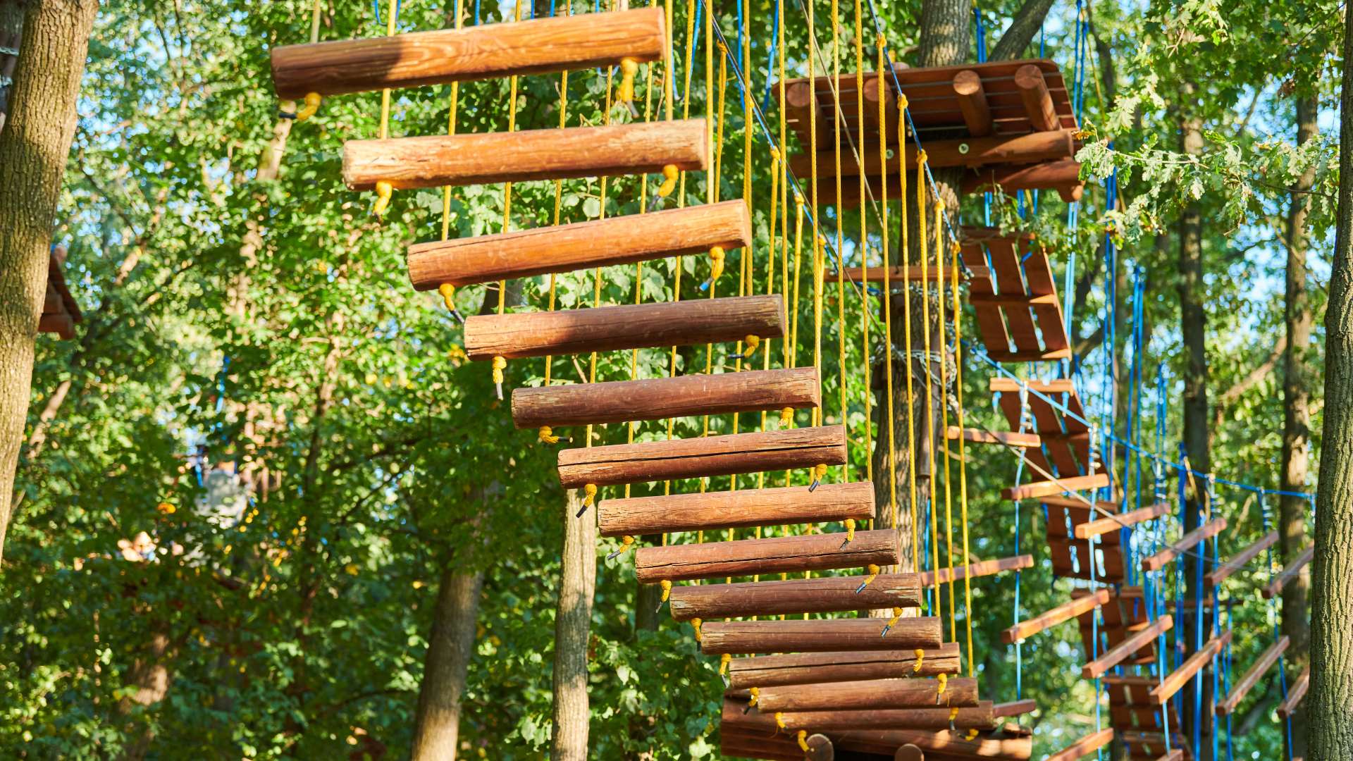Go Ape Bracknell Forest: Prices, Activities, and Visitor Guide! – South ...