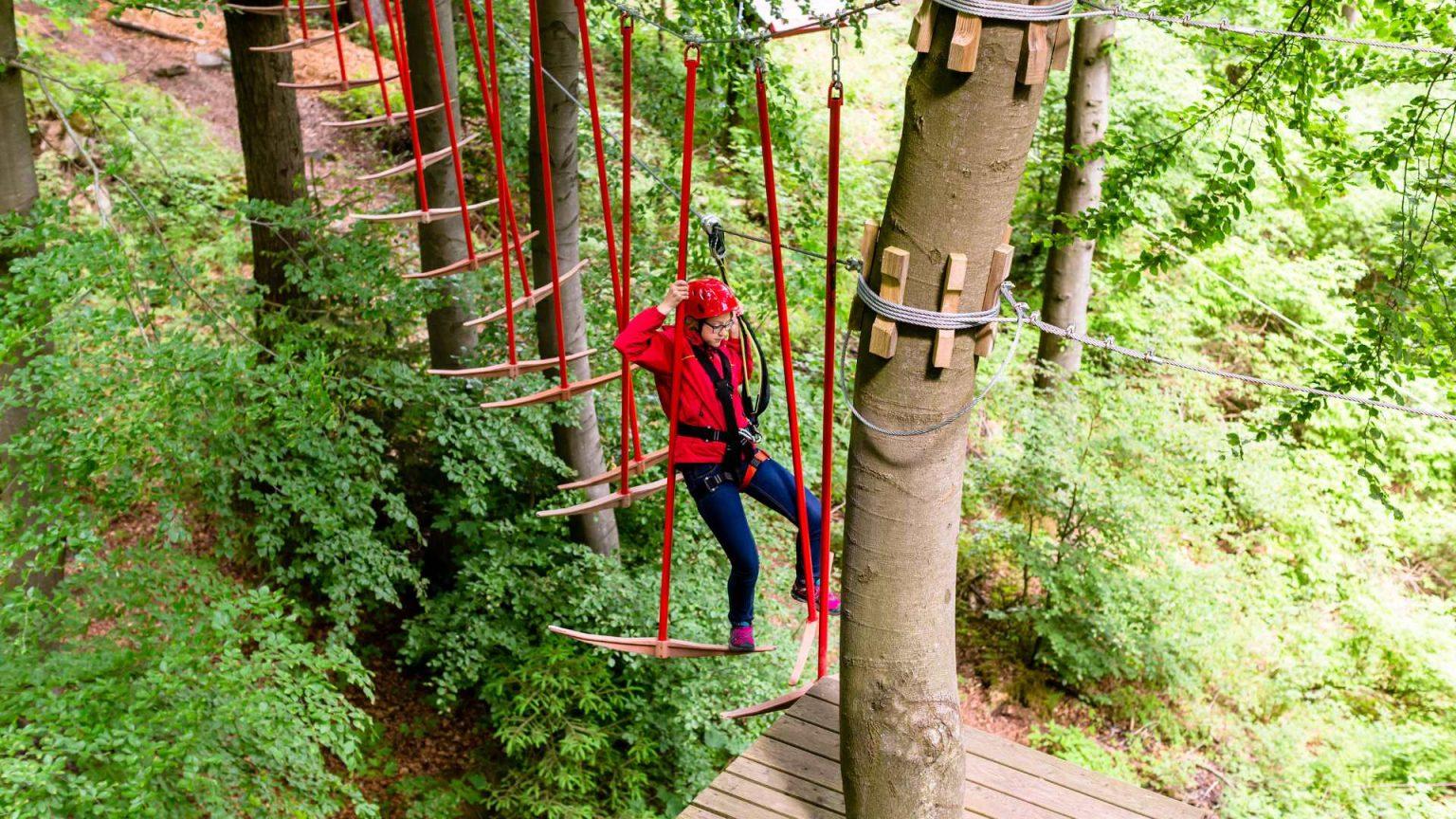 Go Ape Dalby Forest: Adventure Activities and Ticket Prices – South ...