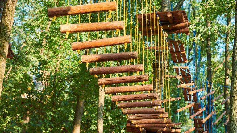 Go Ape Delamere: Best Zipline & Treetop Experiences – South West Mag