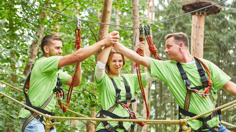 Go Ape Black Park: Activity, Prices and Booking Details! – South West Mag