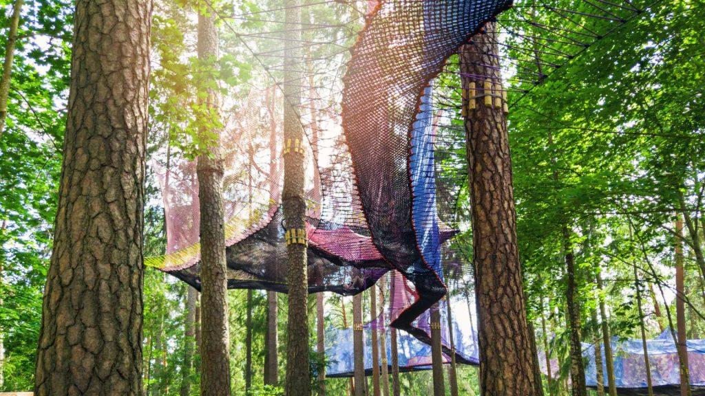 Go Ape: The Ultimate Outdoor Adventures in the UK – South West Mag