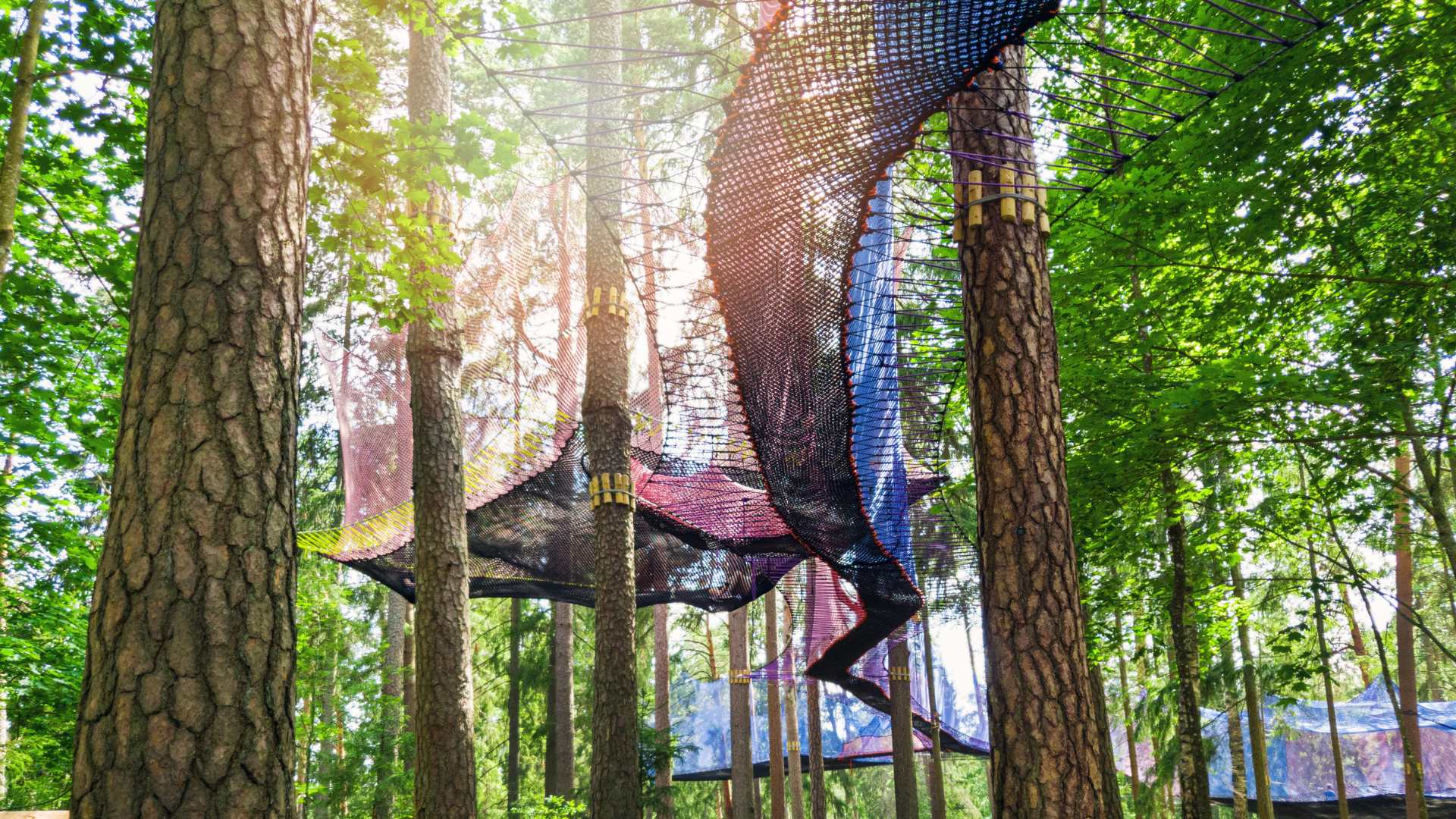 Go Ape: The Ultimate Outdoor Adventures in the UK – South West Mag