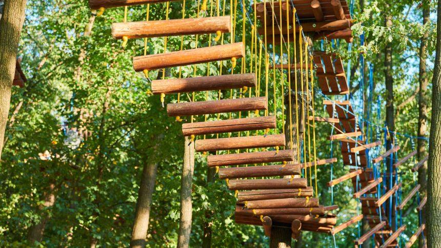 Go Ape Aberfoyle: Best Outdoor Adventure in Scotland – South West Mag