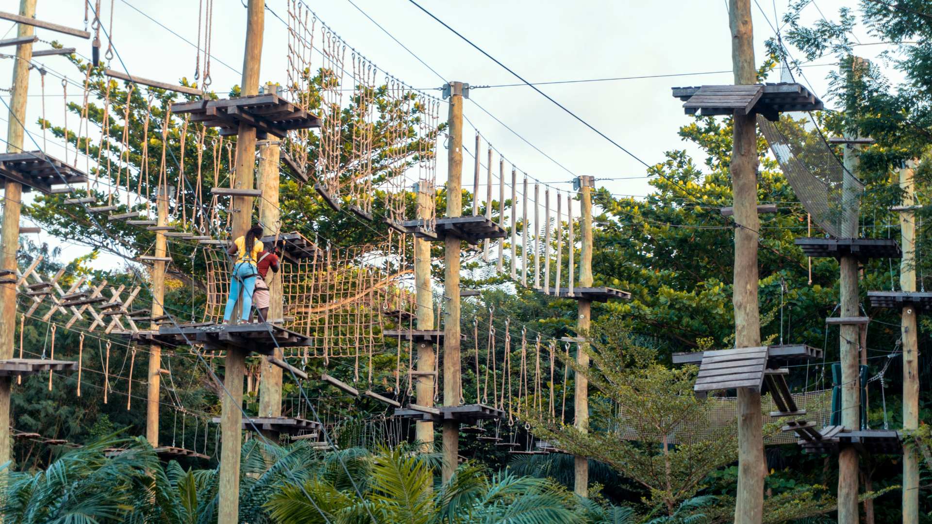 Go Ape Battersea Park: Prices, Activities & Booking Guide! – South West Mag