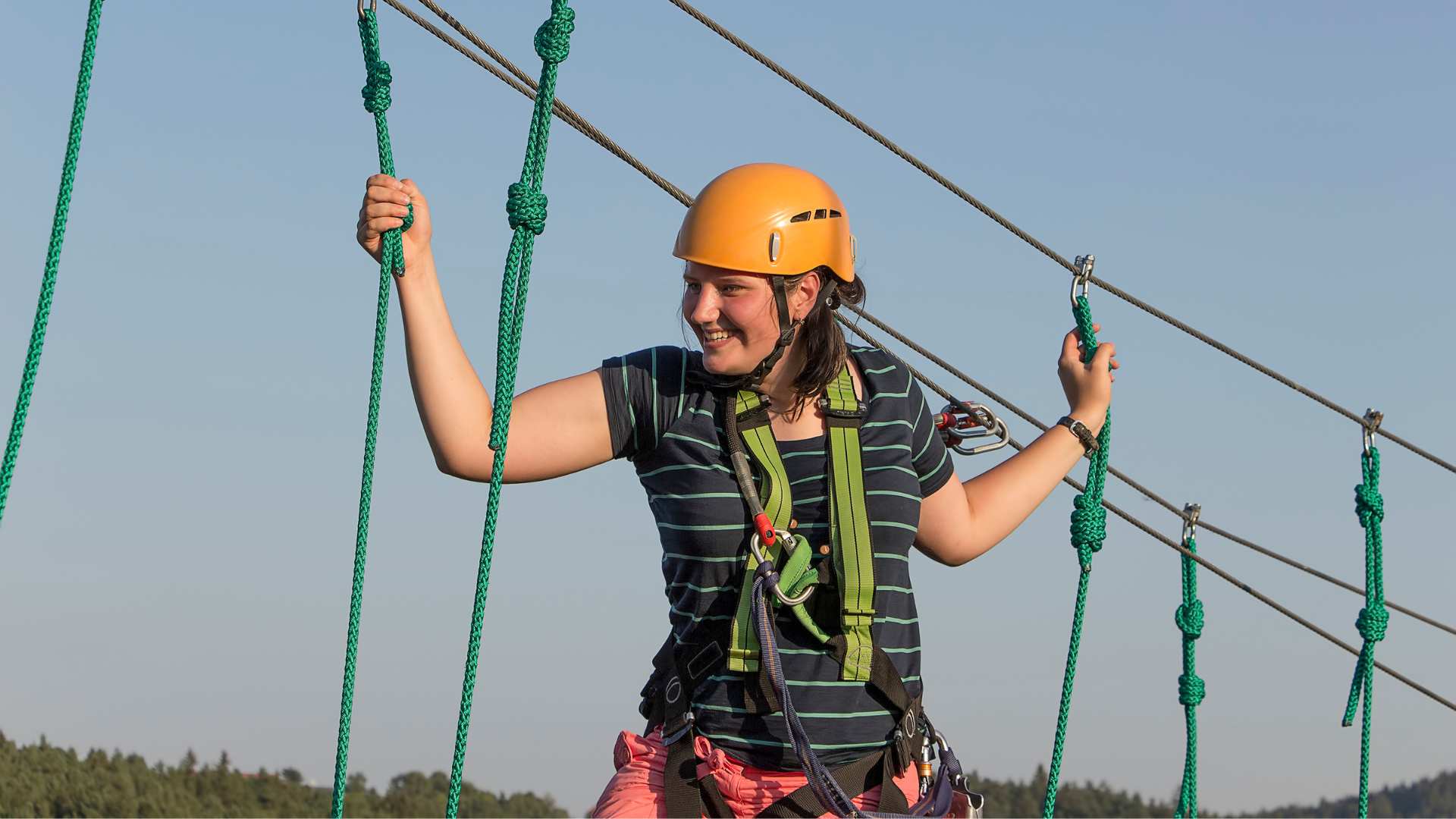 Go Ape Sherwood Pines: Adventure, Prices, and Things to Know! – South ...