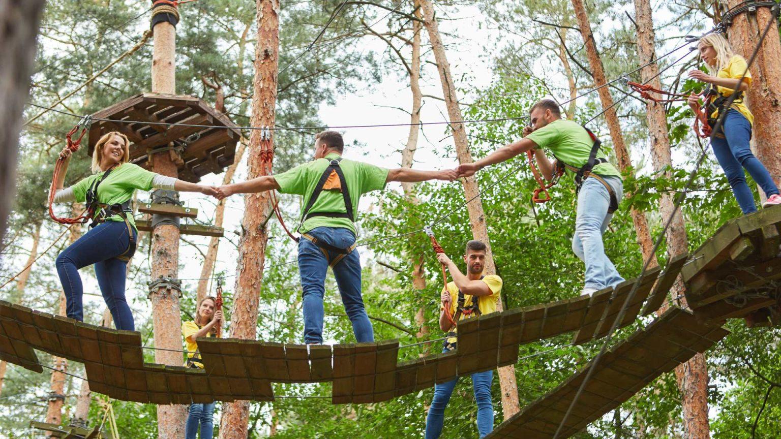 Go Ape Black Park: Activity, Prices and Booking Details! – South West Mag