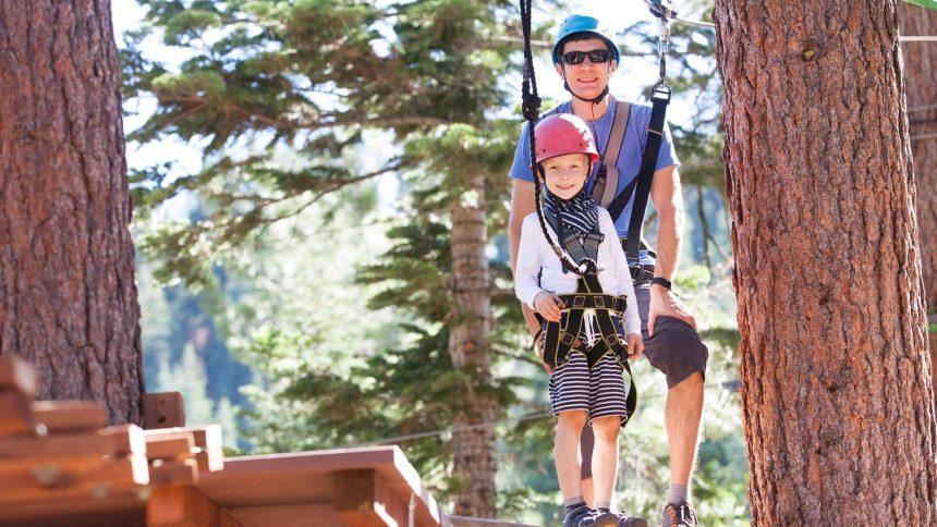 Go Ape Wendover: Ultimate Tree-Top Adventure Guide – South West Mag